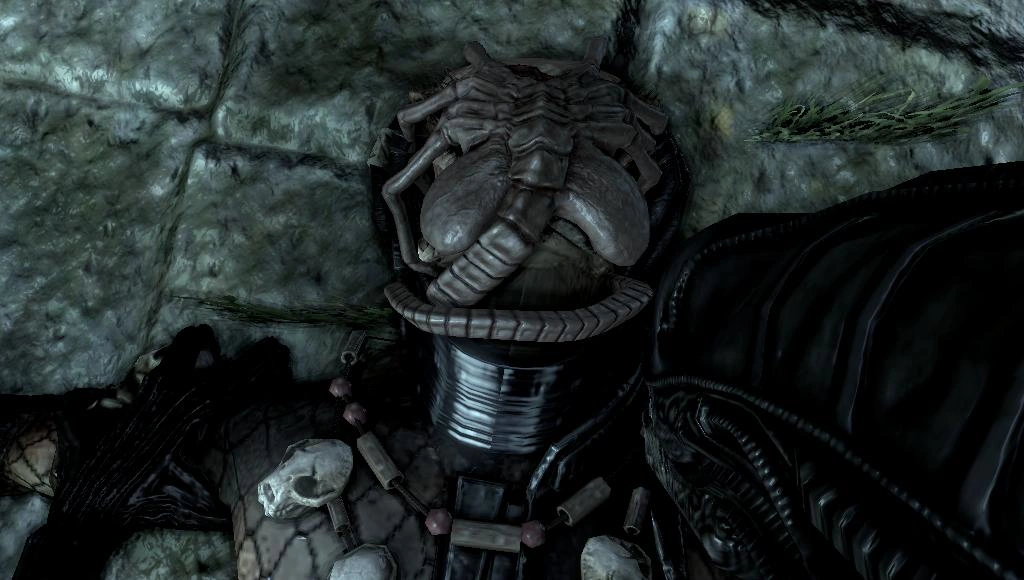 The Abomination | Aliens-Predator-Aliens versus predator-wiki | FANDOM ...