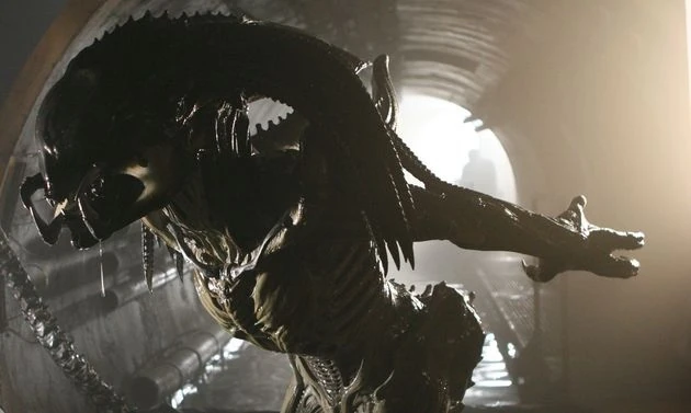 PredAlien (Earth) | Aliens-Predator-Aliens versus predator-wiki | Fandom