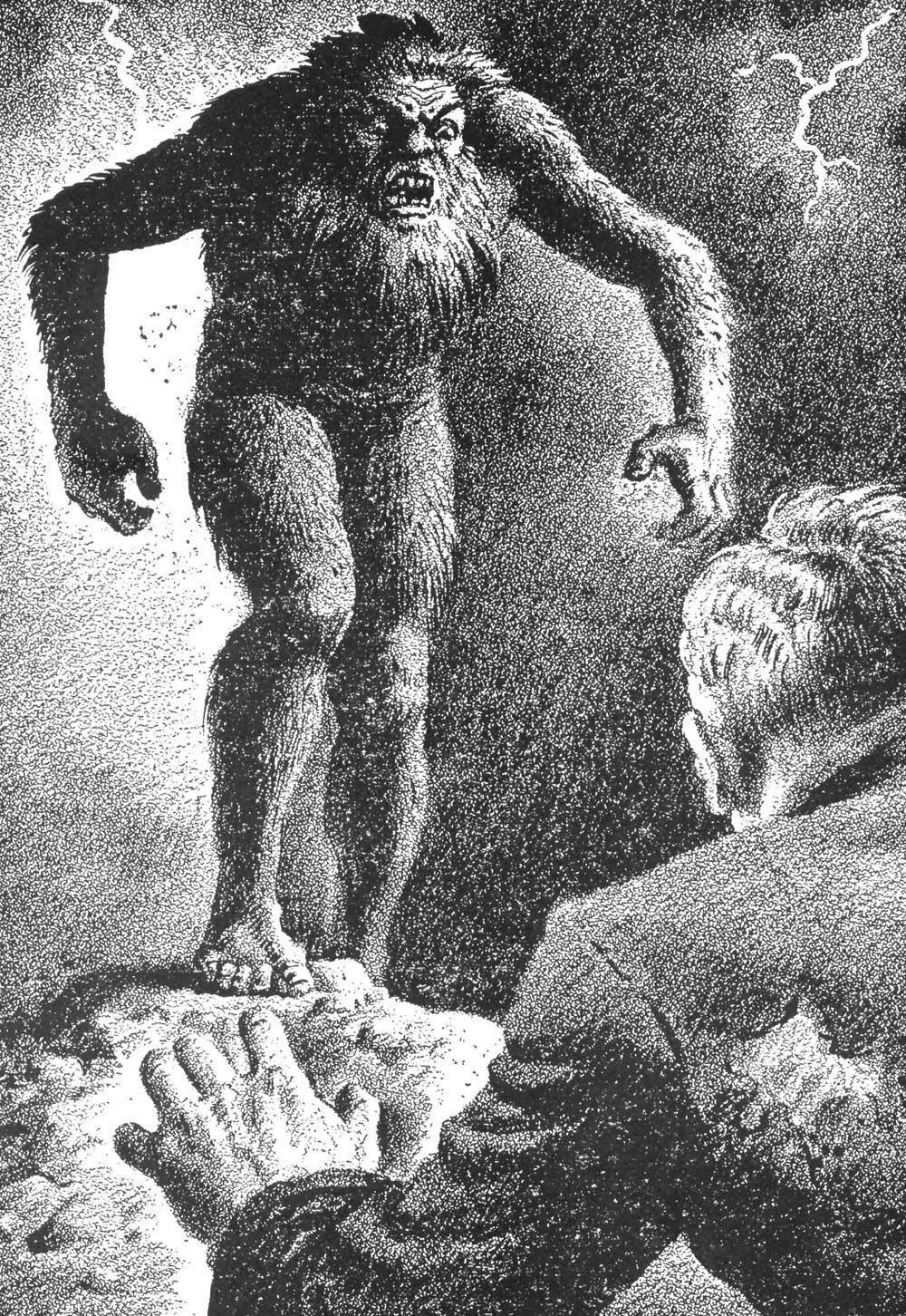 Yowie | Cryptids and Myths Wiki | Fandom