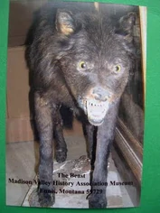 Shunka Warakin | Cryptids and Myths Wiki | Fandom