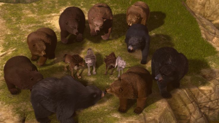 Bears | Alpha and Omega Wiki | FANDOM powered by Wikia