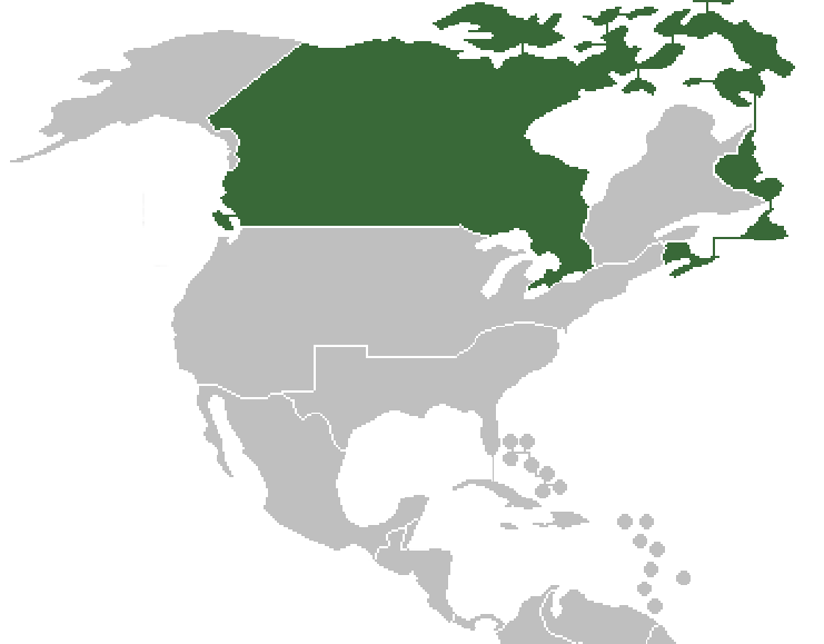 Canada (Differently) | Alternative History | Fandom
