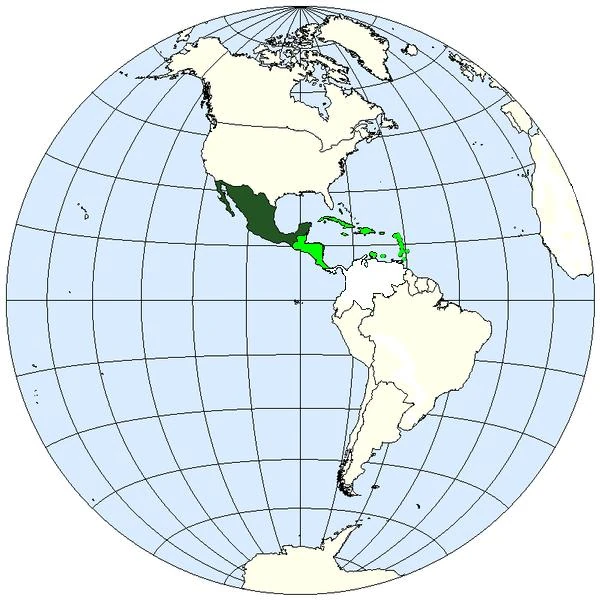 Second Mexican Empire | Alternative History | FANDOM powered by Wikia