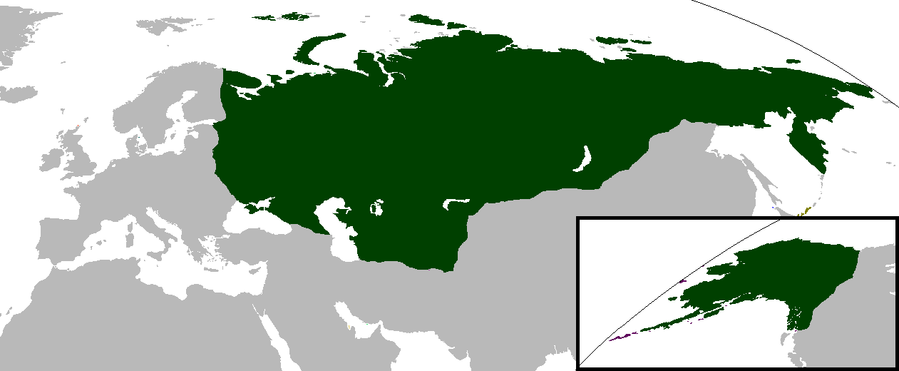 Historia Medieval 2ESO: LAS COLONIAS DE LOS GRANDES IMPERIOS
