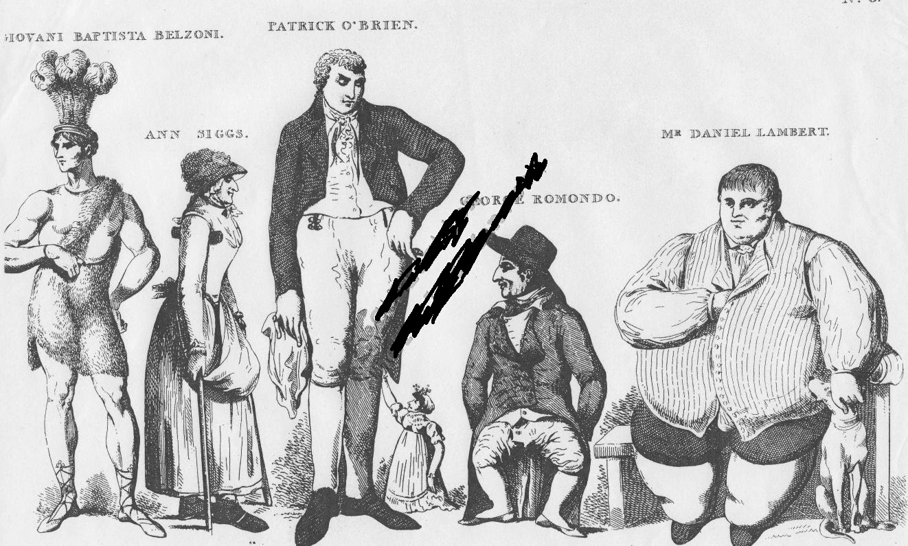 Patrick Cotter O'Brien/gallery | The Amazing Everything Wiki | FANDOM ...