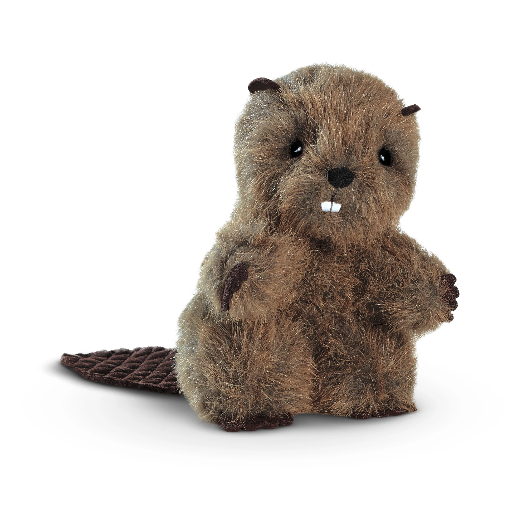 Beaver | American Girl Wiki | FANDOM powered by Wikia