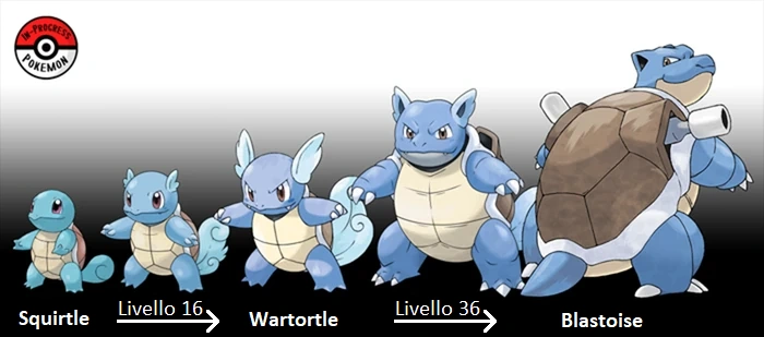 Wartortle | Analisi Pokémon Wiki | Fandom