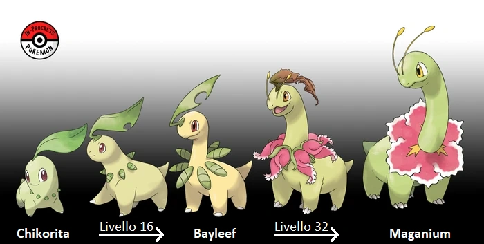 Chikorita | Analisi Pokémon Wiki | FANDOM powered by Wikia