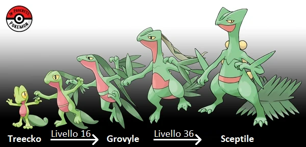 Grovyle | Analisi Pokémon Wiki | Fandom