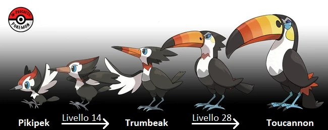 Trumbeak | Analisi Pokémon Wiki | Fandom