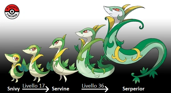 Snivy | Analisi Pokémon Wiki | Fandom