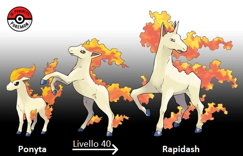 Ponyta | Analisi Pokémon Wiki | Fandom