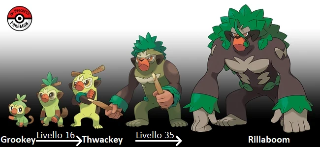 Grookey | Analisi Pokémon Wiki | Fandom