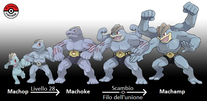 Machop | Analisi Pokémon Wiki | Fandom