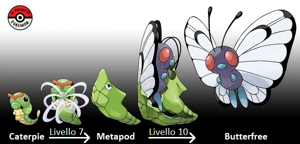 Metapod | Analisi Pokémon Wiki | Fandom