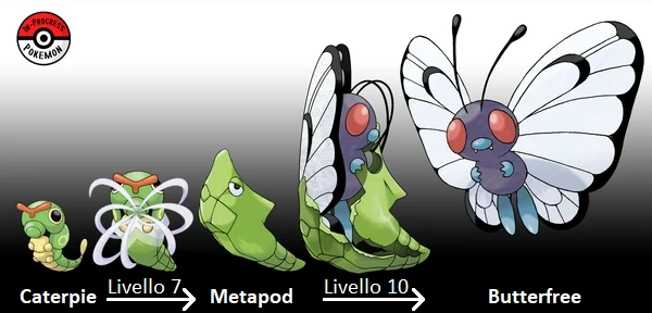 Caterpie | Analisi Pokémon Wiki | Fandom