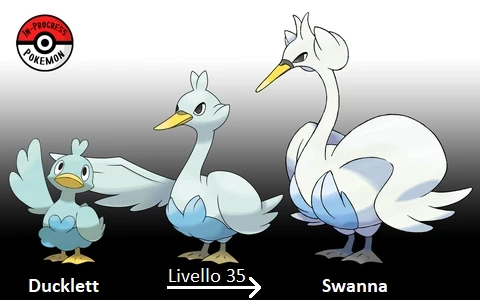 Ducklett | Analisi Pokémon Wiki | Fandom
