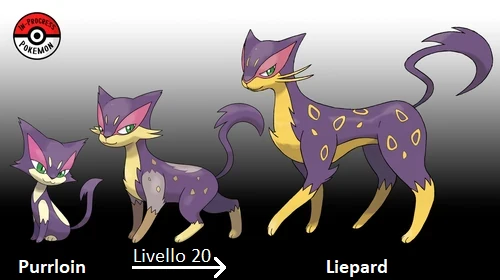 Purrloin | Analisi Pokémon Wiki | Fandom