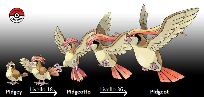Pidgey | Analisi Pokémon Wiki | Fandom