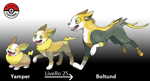 Yamper | Analisi Pokémon Wiki | Fandom