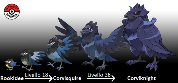 Corviknight | Analisi Pokémon Wiki | Fandom