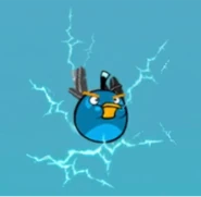 Bomb | Angry Birds Wiki | Fandom