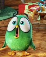 Timothy/Gallery | Angry Birds Wiki | Fandom