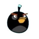 Bomb | Angry Birds Wiki | Fandom