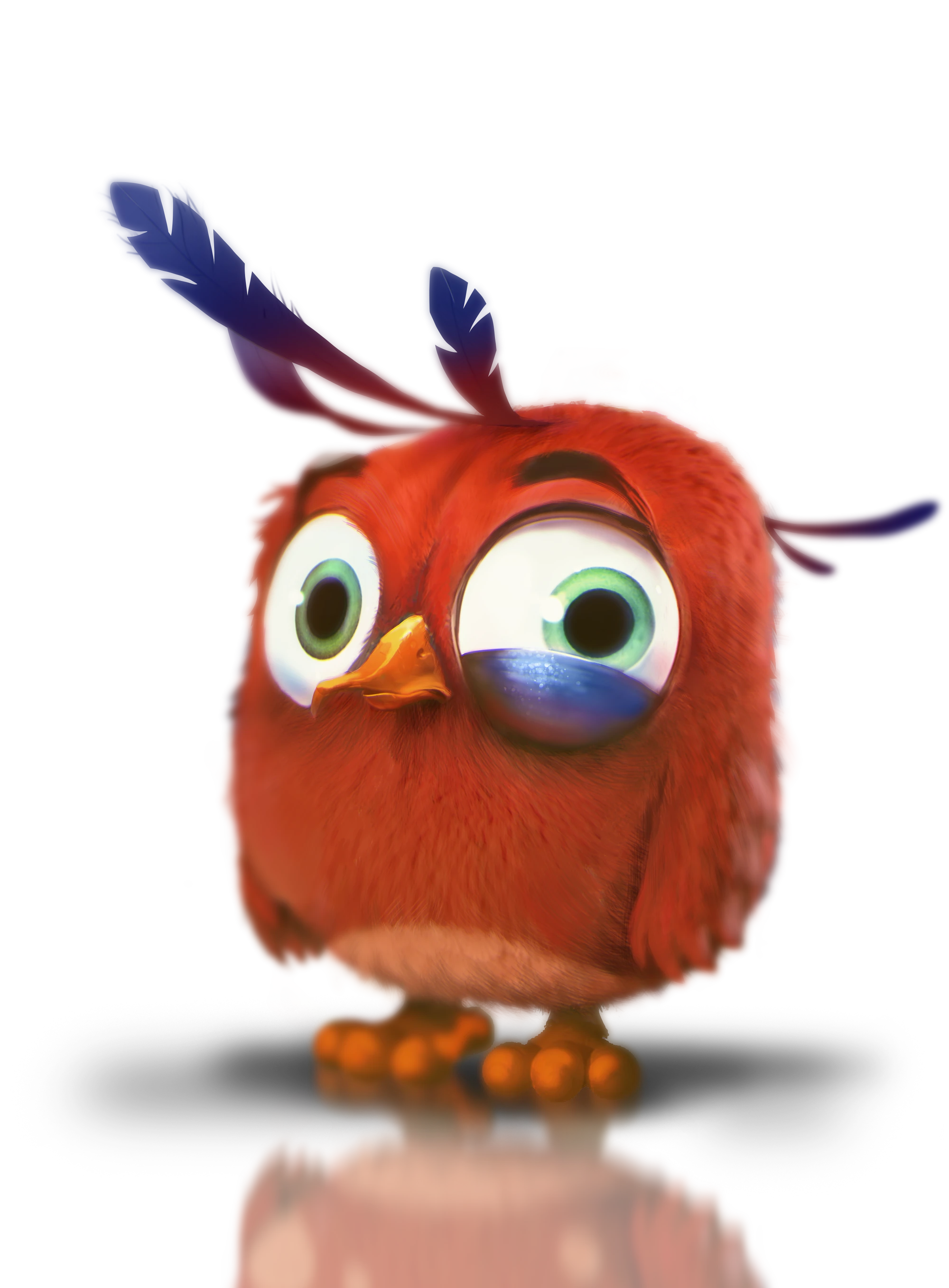 Timothy | Angry Birds Wiki | Fandom