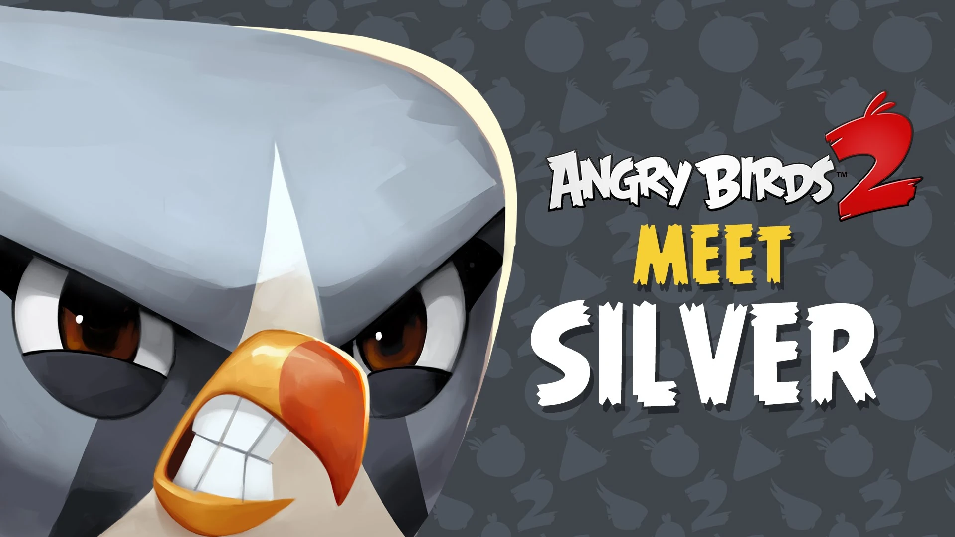 Silver | Wiki Angry Birds | Fandom