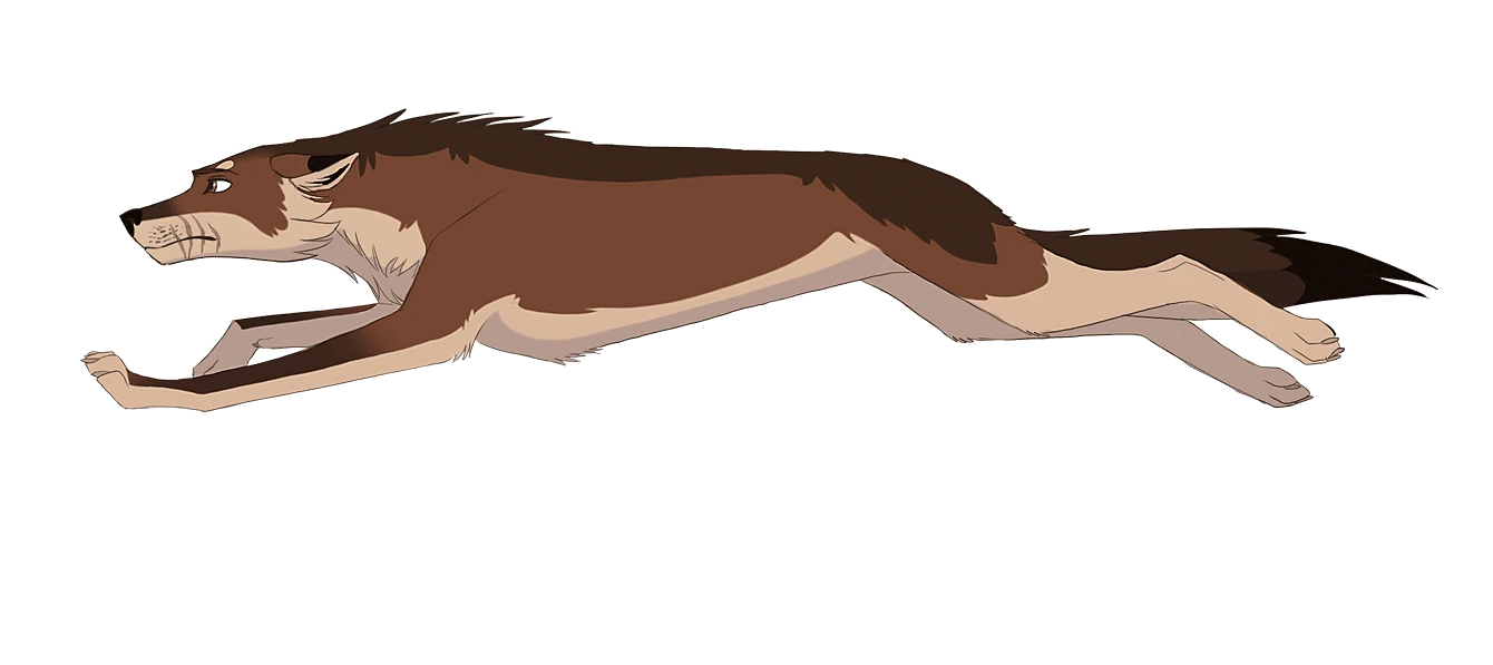Image - Wolf running.gif | Animal Jam Clans Wiki | FANDOM powered by Wikia