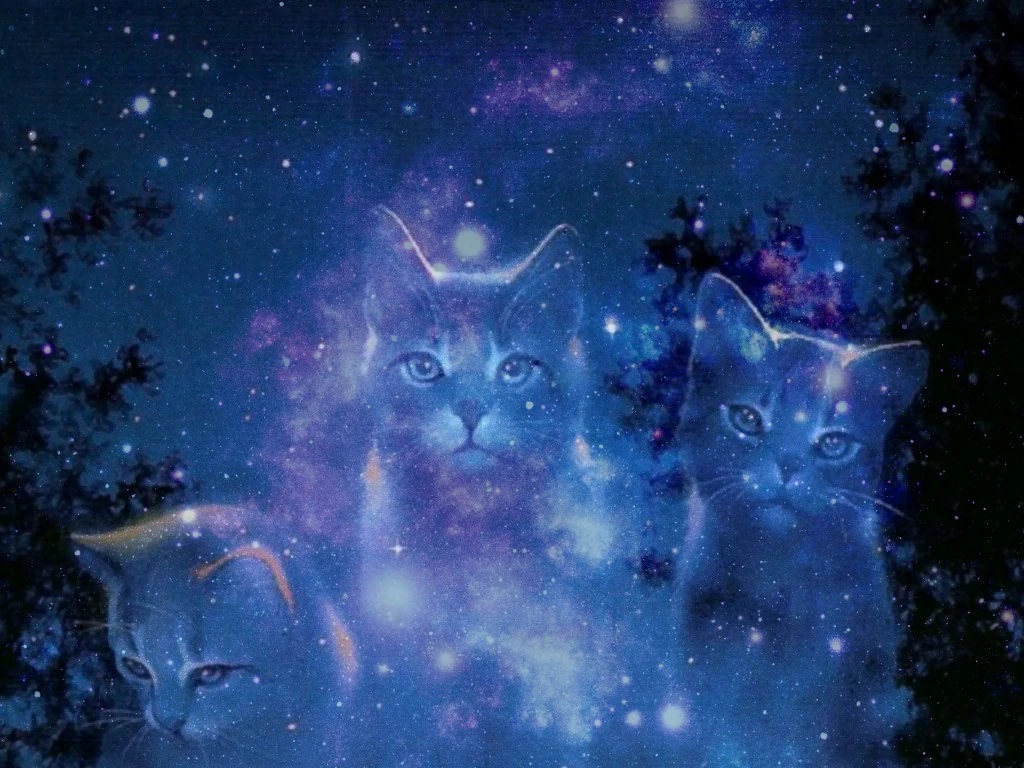 Image - BlossomClan StarClan Placeholder.jpg | Animal Jam Clans Wiki ...