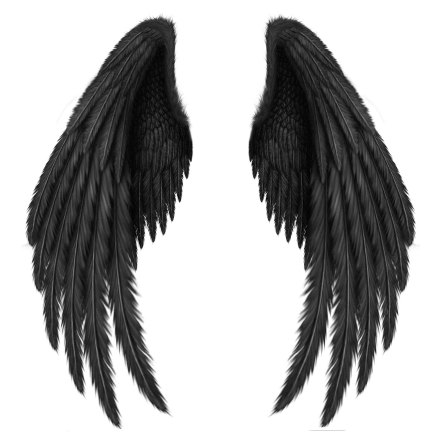 Image - Devil wings-0.png | Animal Jam Clans Wiki | FANDOM powered by Wikia