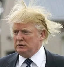 Image - Donald-trump-hair-blown-by-wind.jpg | Animal Jam Clans Wiki ...