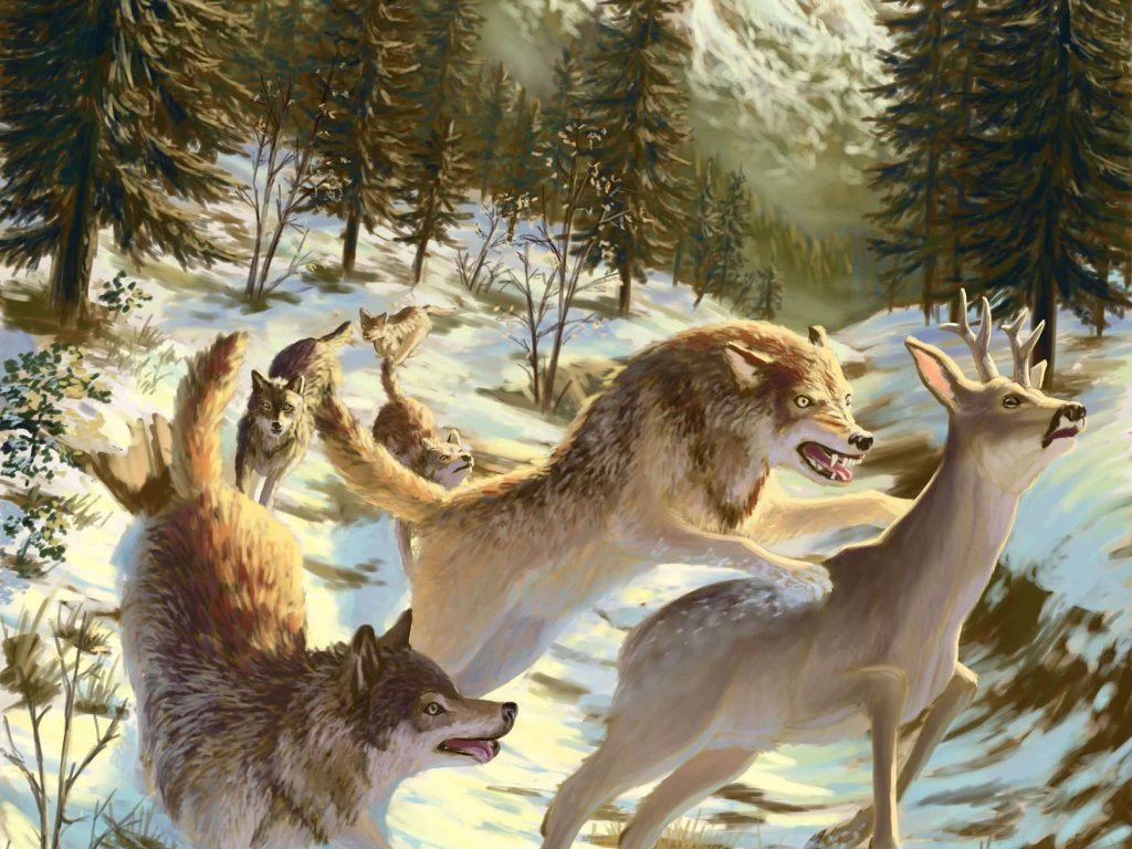 Image - Wolves-hunting-deer-snow-winter-animals-predator-mammal-forest ...