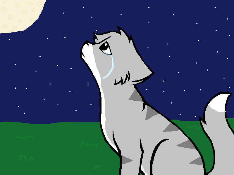 Image - Crying cat base by warriorcatkittyclaws-d6p0bz3 (1).png ...