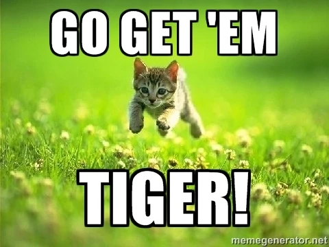 Image - Go-get-em-tiger.jpg | Animal Jam Clans Wiki | FANDOM powered by ...