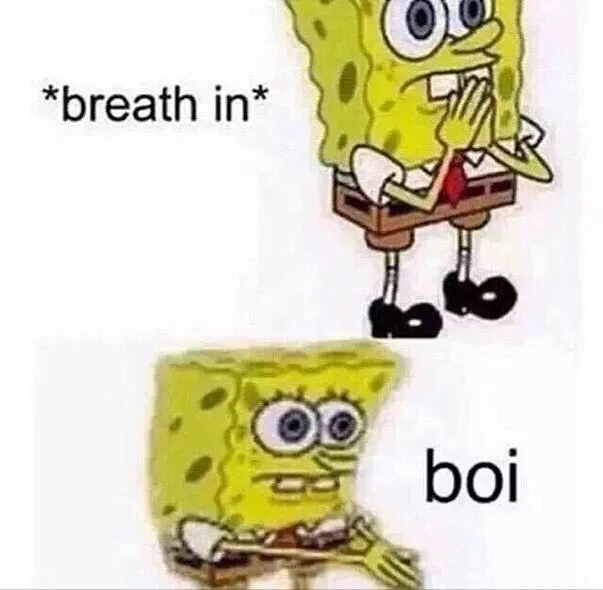 Image - Meme Breath in boi.jpg | Animal Jam Clans Wiki | FANDOM powered ...