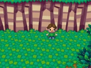 Grass | Animal Crossing Wiki | FANDOM powered by Wikia