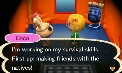 Coco/Gallery | Animal Crossing Wiki | Fandom