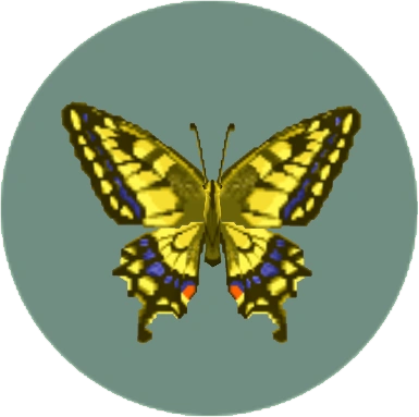 Category:Butterflies | Animal Crossing Wiki | FANDOM powered by Wikia