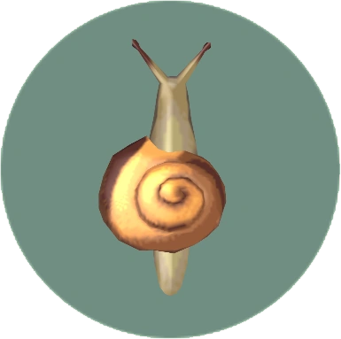 Snail | Animal Crossing Wiki | Fandom