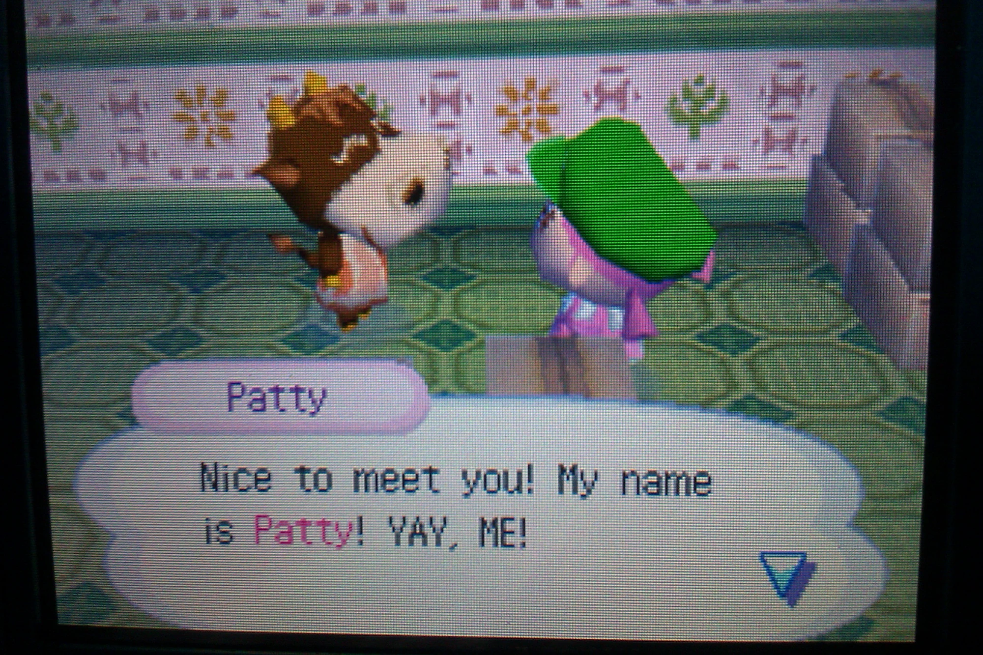 Patty/Gallery | Animal Crossing Wiki | Fandom
