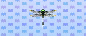 Banded dragonfly | Animal Crossing Wiki | Fandom