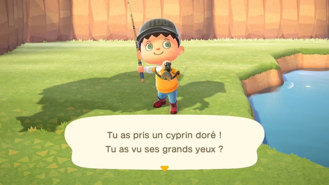 Cyprin doré | Animal Crossing Wiki | Fandom