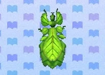 Walking leaf | Animal Crossing Wiki | Fandom