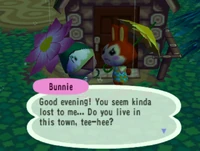 Bunnie/Gallery | Animal Crossing Wiki | Fandom