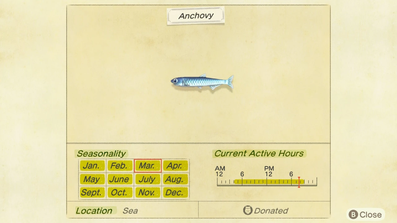 Anchovy (fish) | Animal Crossing Wiki | Fandom