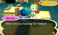 Bertha/Gallery | Animal Crossing Wiki | Fandom