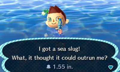 Sea slug | Animal Crossing Wiki | Fandom